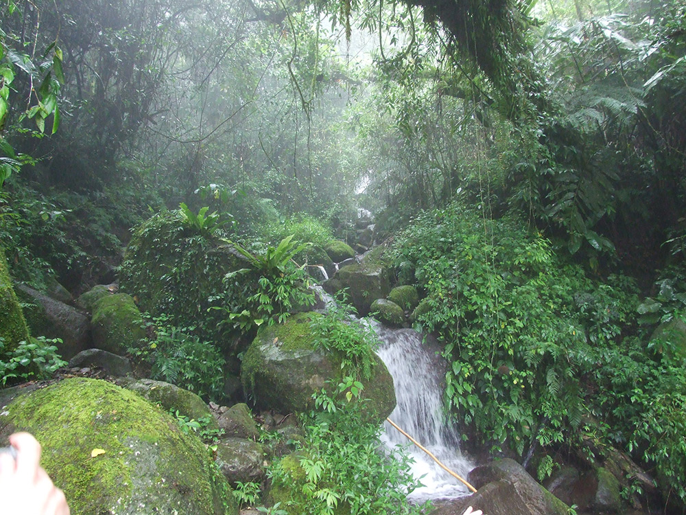 Deštné pralesy - Filipíny Jinak